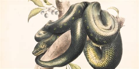 520 Malware Packages Published To Pypi In Ongoing Attack R Netsec