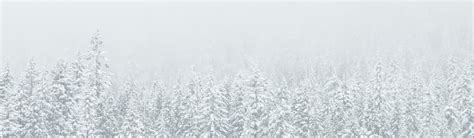Elin Hilderbrands Winter Series In Order Hachette Book Group