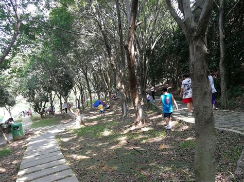 2019大岭山森林公园 旅游攻略 门票 地址 游记点评 东莞旅游景点推荐 去哪儿攻略社区