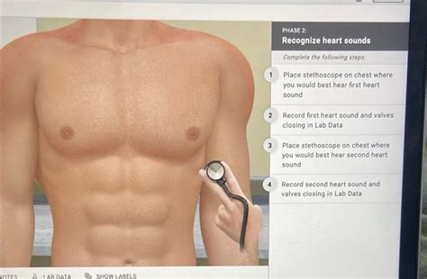 Solved Phase 2 Recognize Heart Sounds Complete The