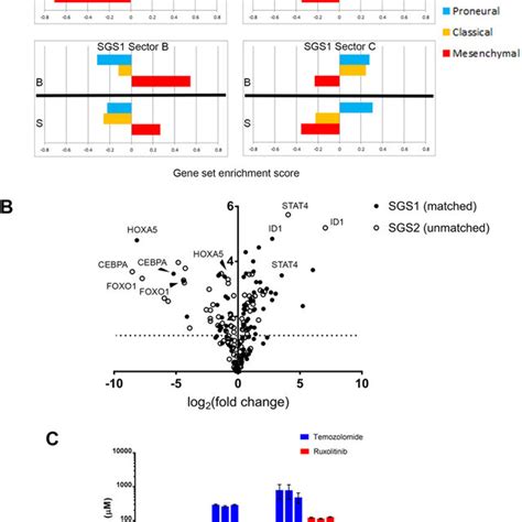 Comparative Transcriptome Analysis A Gbm Molecular Subtype Gene Set