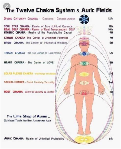 12 Chakra System And Auric Fields Chakra System Chakra Healing Music