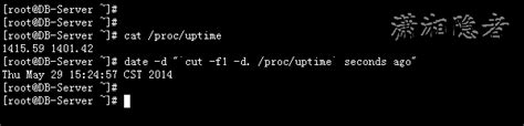 Linux下如何查看系统启动时间和运行时间boot Time怎么看 Csdn博客