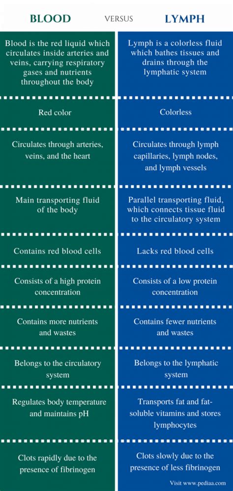 Difference Between Blood And Lymph Definition Components Function Similarities