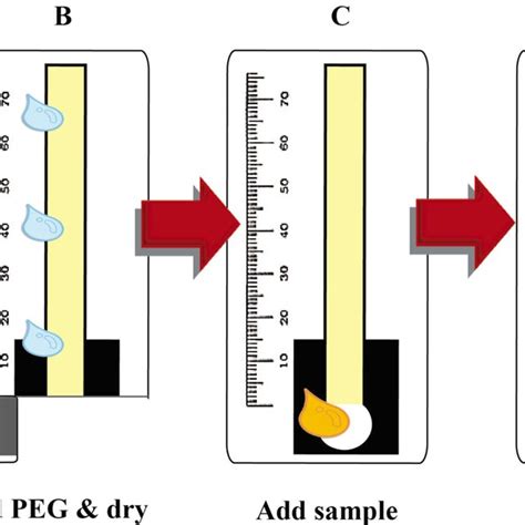 Schematic Representation Of Procedures For Antioxidant Activity Download Scientific Diagram