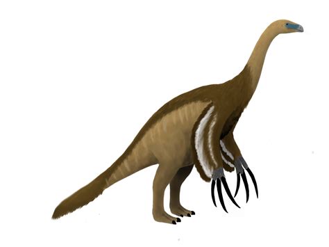 Therizinosaurus Cheloniformis R Dinosaurs