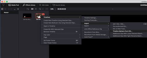 how to receive timeline transcript markers in davinci resolve simon says