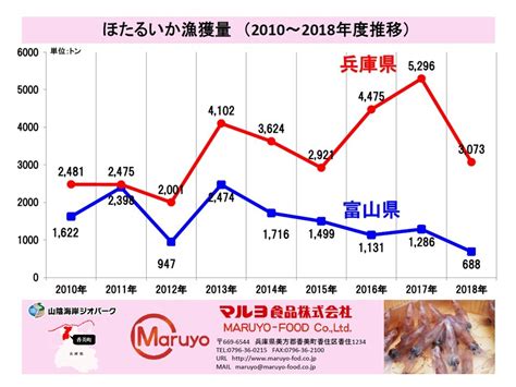 「ほたるいか漁獲量日本一」兵庫県のマルヨ食品が日本で初めて「ほたるいかの日」を制定！！2019年3月9日土10日日・4月6日土7日