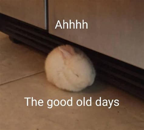 Roblox Chipotle Incident R Doodoofard