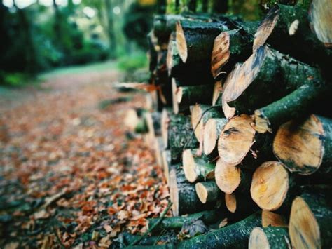 Premium Photo Stack Of Logs