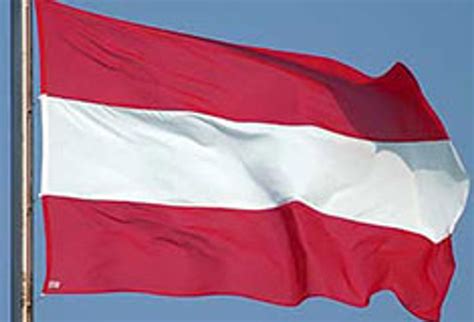 Vienna Raises Funds With Sex Hotline Avn