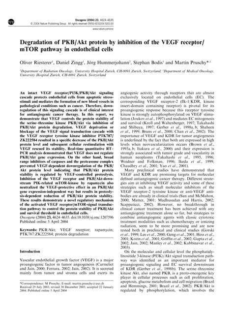 Pdf Degradation Of Pkbakt Protein By Inhibition Of The Vegf Receptor