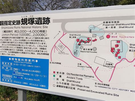 蜆塚公園でお花見 浜松市子育て情報サイト ぴっぴ