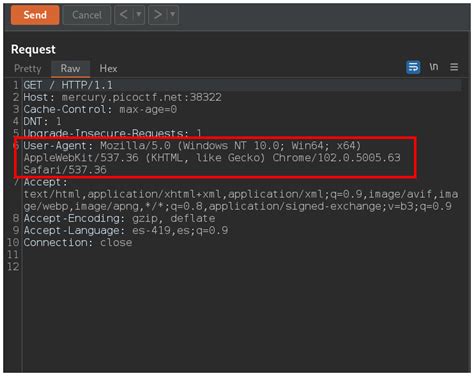 Picoctf 2021 Who Are You