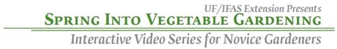 Spring Into Vegetable Gardening Gardening In The Panhandle