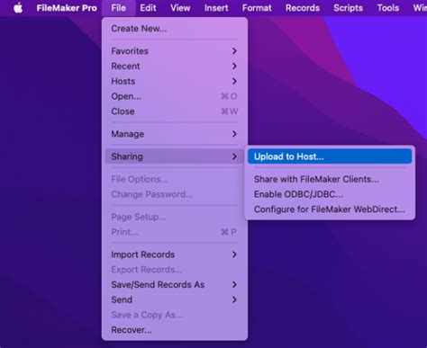 Using Filemakers Data Migration Tool Appworks