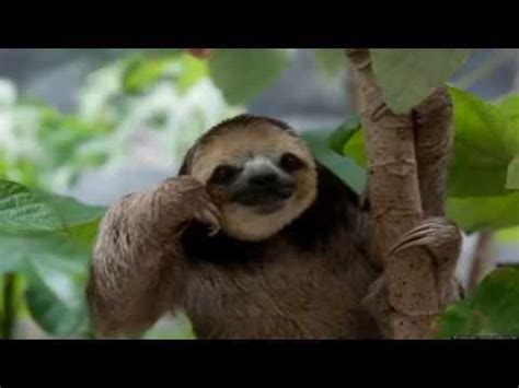 Re Subido Reseña perezosa 3 Yume Kui Tsurumiku Shiki Game Seisaku Hentai YouTube