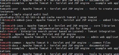 리눅스 명령어 apt 실습