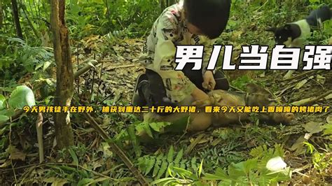 今天男孩徒手在野外，捕獲到重達二十斤的大野豬，看來今天又能喫上香噴噴的烤豬肉了，男孩的生活也越加滋潤了《男兒當自強》31 Youtube