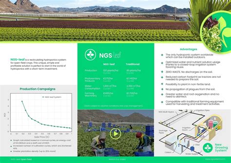 Ngs Cultivation Systems And Types Bhk Greenhouse