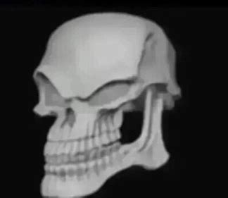 Skull Trollface Memes Imgflip