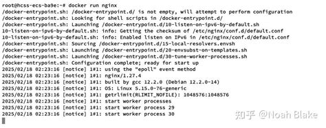 Docker学习笔记(2):docker 命令 知乎 Docker学习笔记(2):docker 命令 知乎