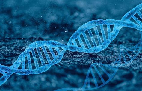 Scientists Identify Rare Gene Variants Which Confer Up To 6 Fold