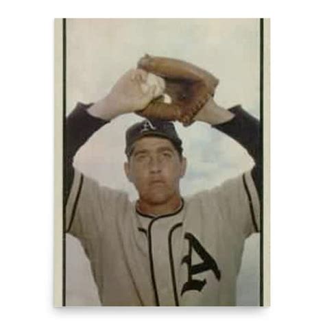 Carl Scheib Poster Print — Museum Quality 18x24 Noveltees