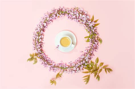 분홍색 배경에 꽃 봉 오리와 아름 다운 등나무 꽃 분기의 원에서 커피 한잔 색상 묘사에 대한 스톡 사진 및 기타 이미지 색상