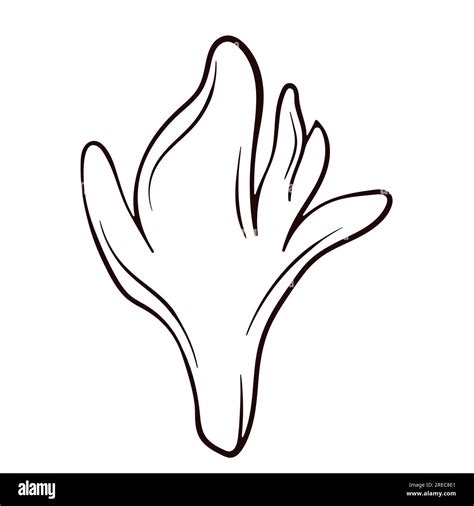 Poison Fire Coral Inedible Mushroom In Line Art Style Podostroma Cornu Damae Sketch Vector