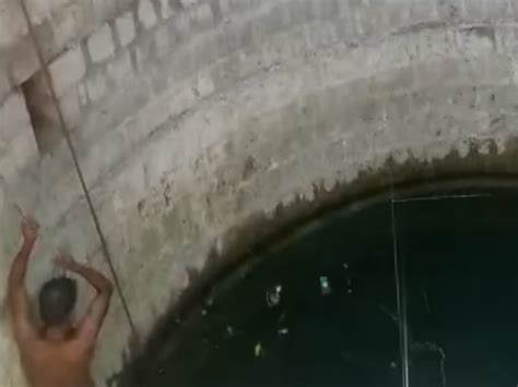 Cow Pushed While Drawing Water Police Sent Dead Body For Postmortem