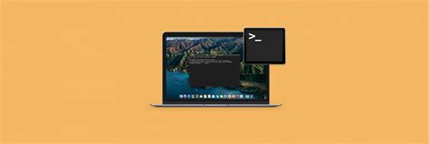 Macos Terminal ნაწილი Iii ფაილების კოპირება და გადატანა F1 აკადემია