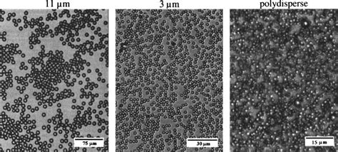 Micrographs Of The Polystyrene Particles Download Scientific Diagram