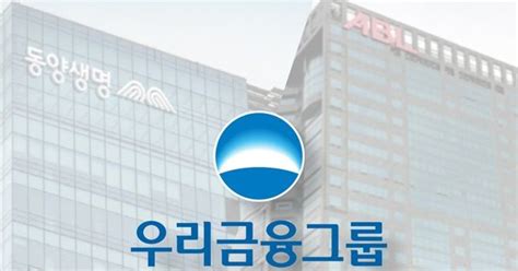 우리금융 동양·abl생명 Manda 올인롯데손보서 유턴