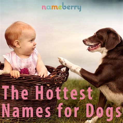 Popular Dog Names 2022