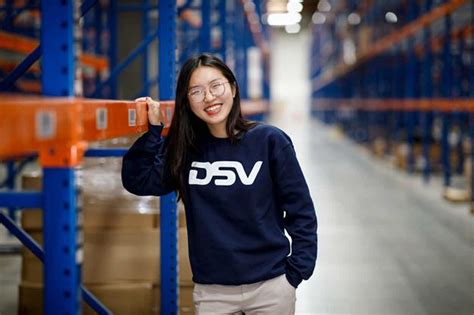 Dsv Careers Transport And Logistics Opportunities