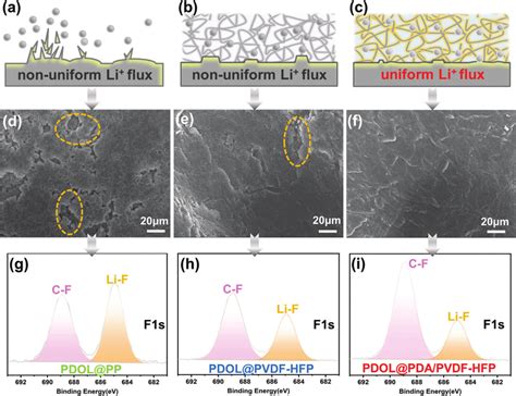 Schematic Illustrations Of The Electrochemical Plating Behaviors Of Li