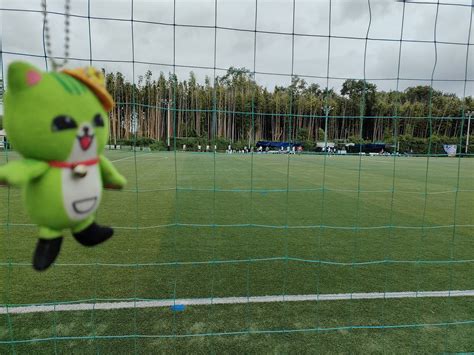 のらねこくん On Twitter おはのらー