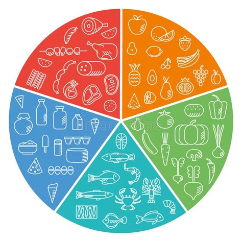 Food Groups Set Protein And Fiber Food Stock Vector Illustration Of