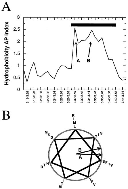 Example Of The Conversion Of Sequence Information To Structural