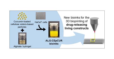 Hydrogel Bioinks Of Alginate And Curcumin Loaded Cellulose Ester Based… Biopol4fun Group