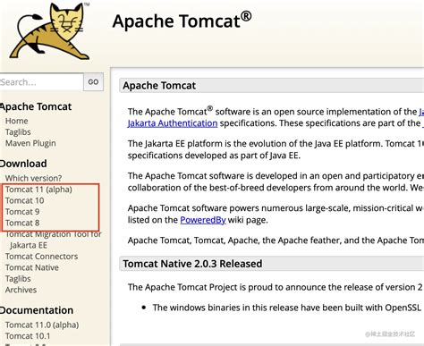 MAC 安装配置使用TomcatMAC 安装配置使用Tomcat详细教程从下载安装到使用包括常用的启动授权关闭 掘金