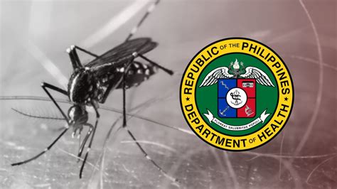 Doh Nakapagtala Ng 270000 Dengue Cases Brigada News Philippines