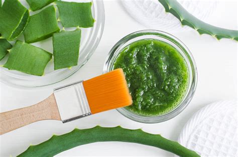 알로에 베라 퓌레와 화장품 브러시와 작은 유리 그릇 홈 메이드 페이셜 또는 헤어 마스크 자연의 아름다움과 스파 흰색 배경입니다 상단 보기 복사 공간 알로에베라에 대한 스톡