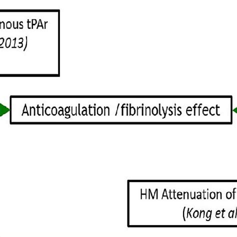Overview Of The Pathophysiology Of Stroke And Molecular Targets On
