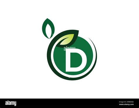 Letter D Green Leaf Logo Design Vector Template Letter D Nature Growth