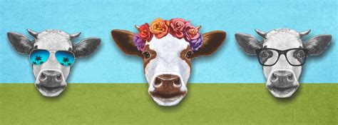 Herman Project Ltd הרמן פרוגקט