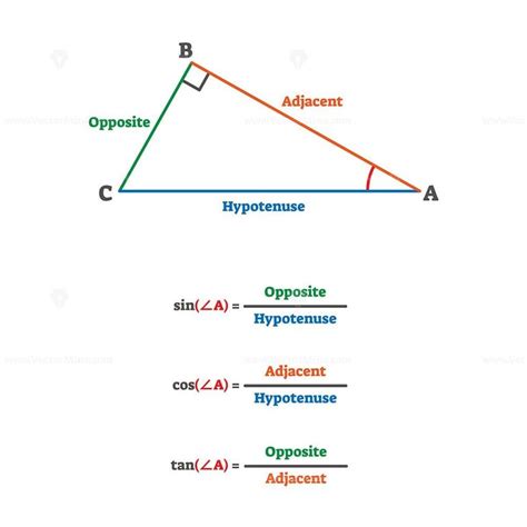 Free Trigonometry Triangle Proportion Formulas Vectormine