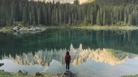 Why Should Christians Care For Creation Biologos