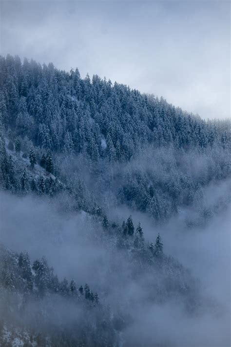 山 森林 冬天 Pixabay上的免费照片